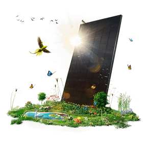 Produção e armazenamento de Energia com Bateria Solar | EDP